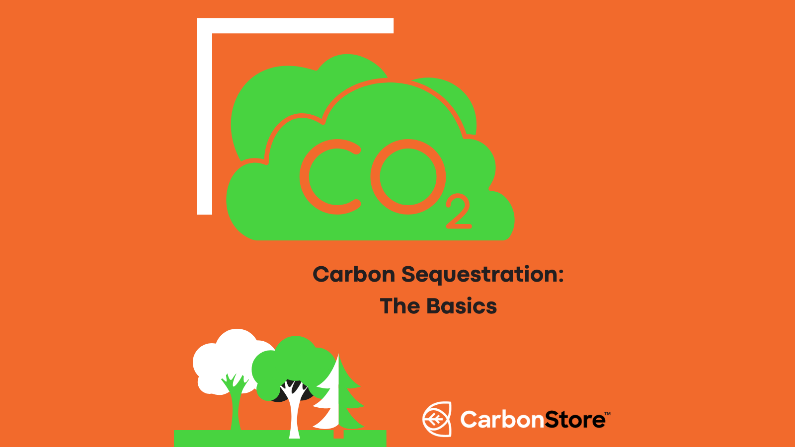 Carbon Sequestration - The Basics - CarbonStore