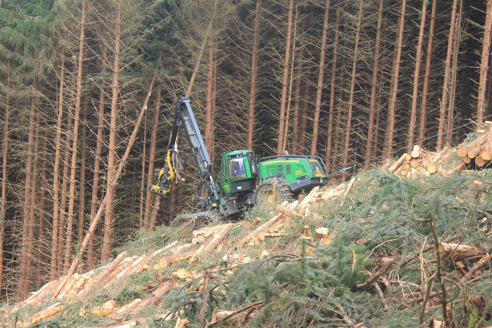 The Wider Benefits of Woodland Creation - CarbonStore