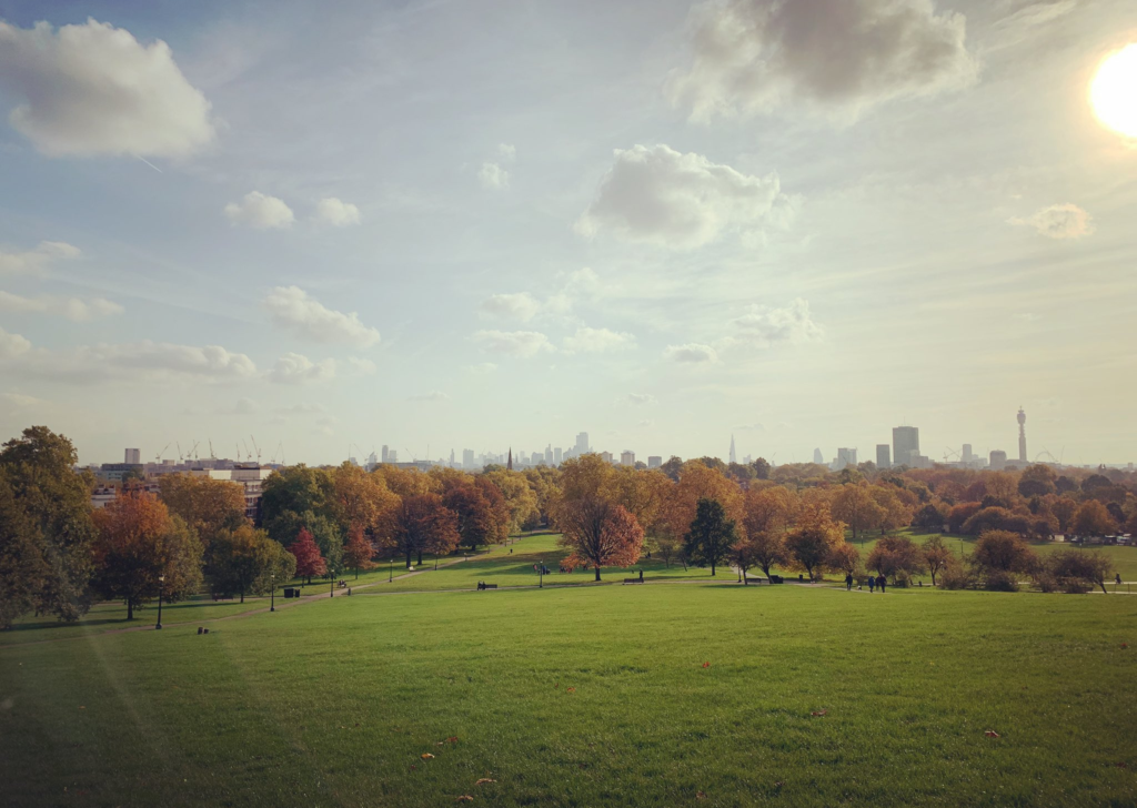 How can your tree planting project link to Sustainable Development ...