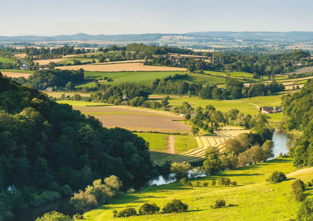 Helping you to Maximise your Income from your Natural Capital Assets ...