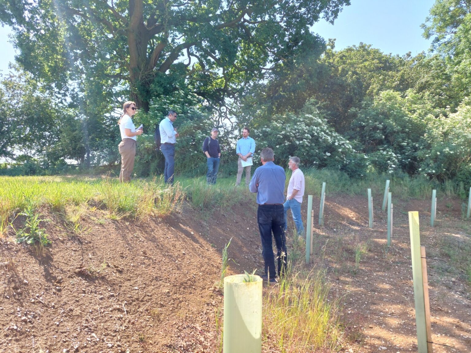 Broadleaf Woodland Creation for Carbon Sequestration and Farm ...